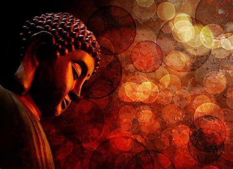 Samsara :: Published in - Evolution & Impermanence - os.me - A ...