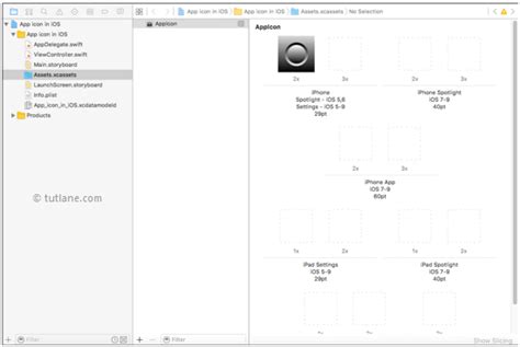 Xcode App Icon At Vectorified Com Collection Of Xcode App Icon Free For Personal Use