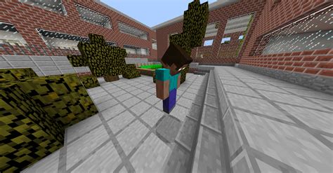 The Custom Npc Does Not Work Well Mods Modpacks Aternos Community