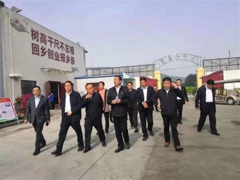 卧龙区委书记高贤信深入七里园乡调研乡村振兴、文化旅游、产业发展等工作澎湃号·政务澎湃新闻 The Paper