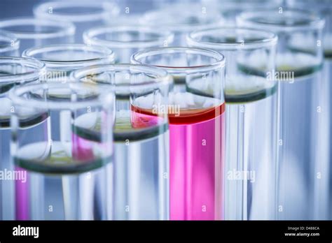 Test Tubes In Laboratory Stock Photo Alamy