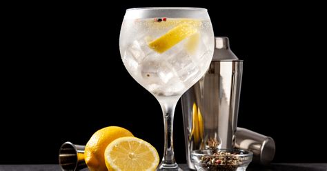 Origem Do Gin Como A Bebida Ficou T O Popular No Mundo