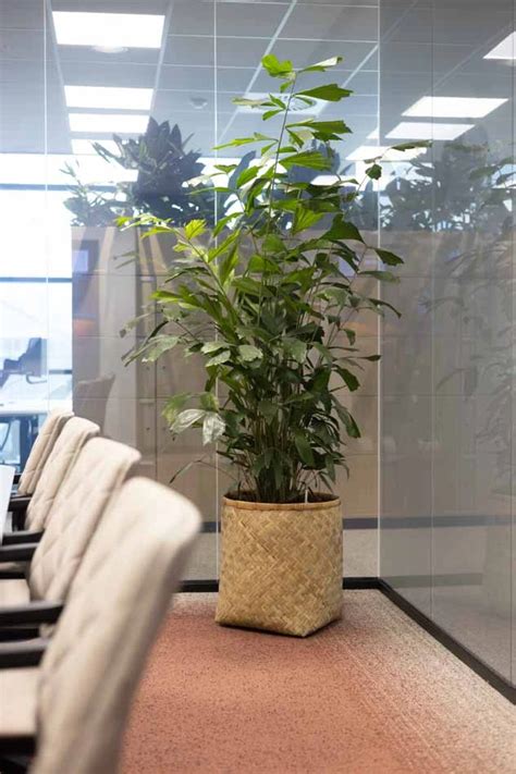 Intersnack Procurement Natural Office Design In Zevenaar