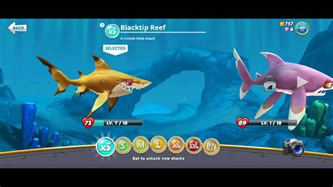 I Play Hungry Shark Youtube