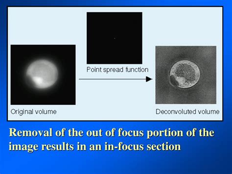 Ppt Deconvolution Microscopy Powerpoint Presentation Free Download