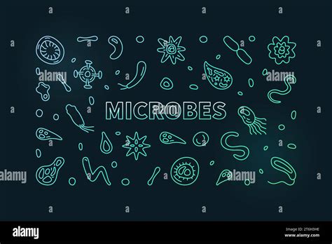 Microbes Vector Science Concept Outline Colorful Horizontal Banner Or