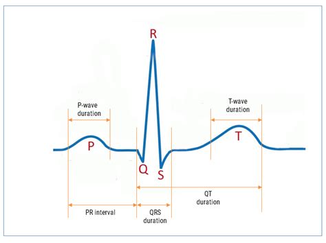 Ecg Dsp Biomedical Signal Analysis And Export Asn Home