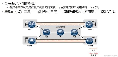 第十六天 MPLS VPN VRF 技术原理与配置 CSDN博客