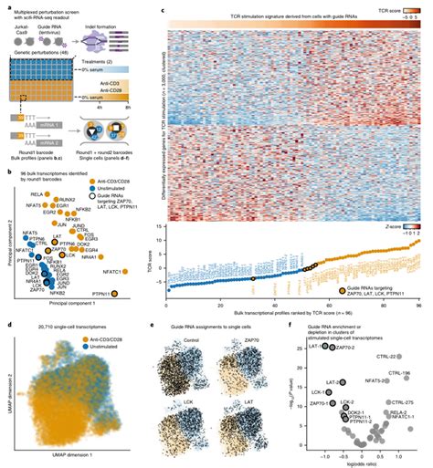 Nature Methods Rna