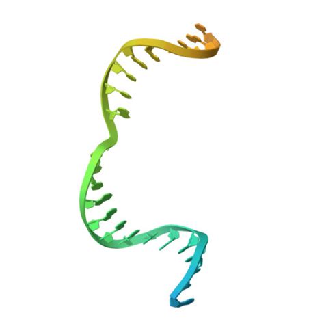 RCSB PDB 8EX9 ISDra2 TnpB In Complex With ReRNA And Cognate DNA