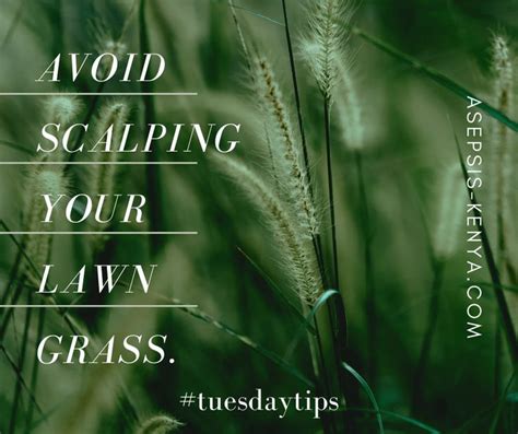 Asepsis Limited Another Tuesday Another Tip Coming Your Way Avoid