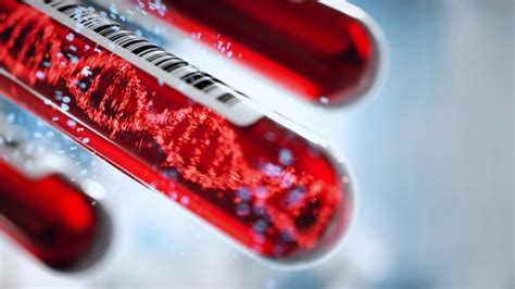 Eritrosit Rbc Testi Nedir