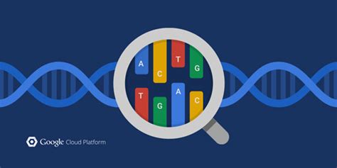 Cuáles son las APIs de Google que puedes usar Blog de Diseño Web Vida MRR