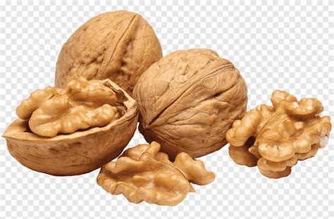 Скорлупа грецкого ореха картинка для детей