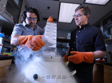 新发现精子运动可以帮助治疗男性不育症科信仪器