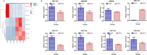 Validation Of Identified Mirnas By Qrt Pcr A The Expression Of 8