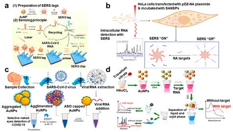 Recent Development In Plasmonic Nanobiosensors For Viral Dnarna Biomarkers
