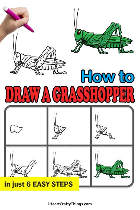 Grasshopper Drawing How To Draw A Grasshopper Step By Step