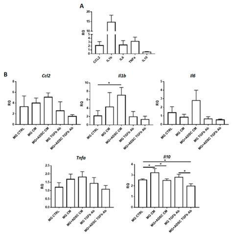 Ijms Special Issue Stem Cell Based Therapy