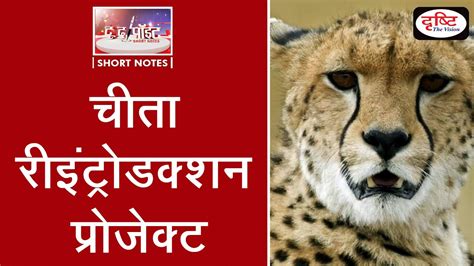 Cheetah Reintroduction Project To The Point Drishti Ias Youtube