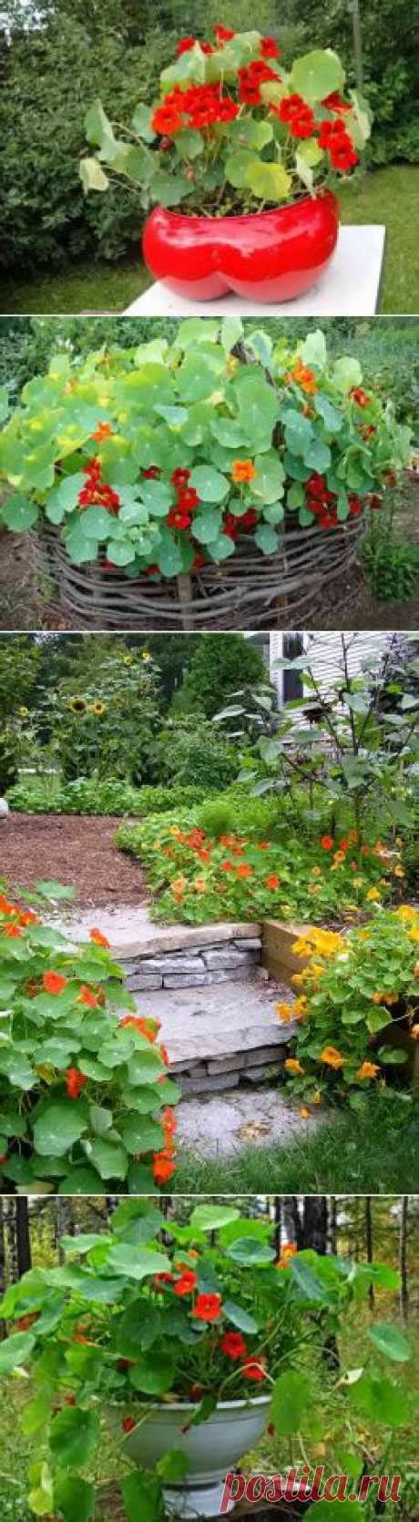 ДАЧНЫЕ ПОДДЕЛКИ Sergiy Shtein Идеи и фотоинструкции бесплатно на Постиле