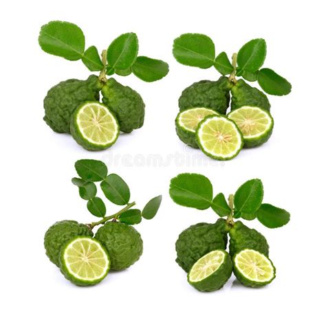 Sistema De Fruta Fresca De La Bergamota Con El Aislante De Las Hojas En