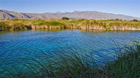 Manantiales En Cuatrociénegas Coahuila