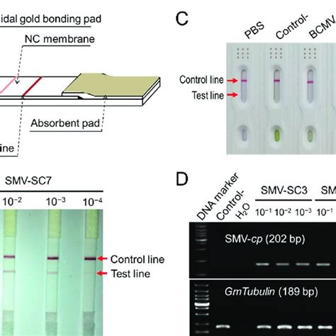 Development Sensitivity And Specificity Test And Field Application Of