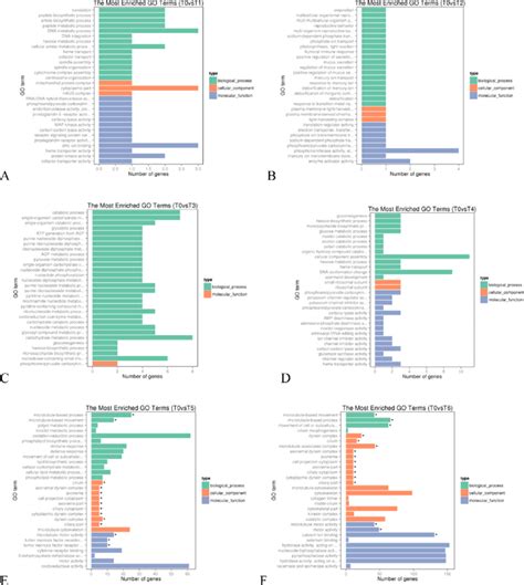 Enrichment Of Gene Ontology Classifications For The Degs The Degs Were
