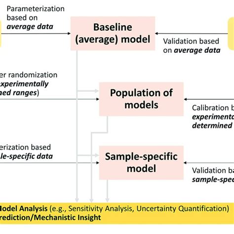 Flowchart Connecting Traditional Cardiac Modeling Approach To The New Download Scientific