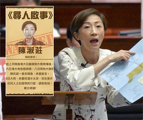 蔣麗芸發「尋人啟事」 稱塌樹後陳淑莊「潛水太深」 星島日報 Line Today