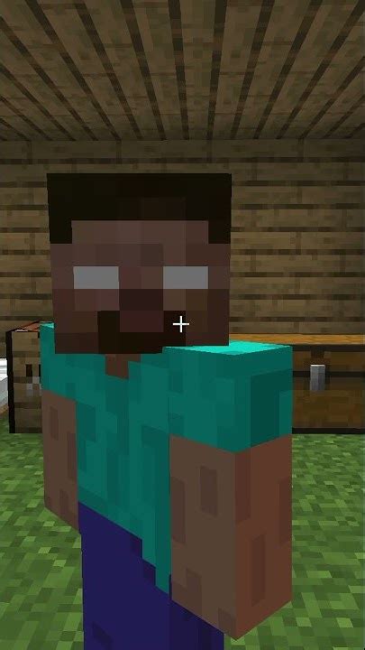 Minecraft Never Trust Herobrine Shorts Youtube