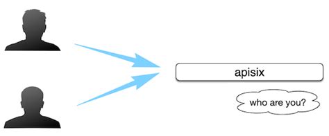 Consumer Apache APISIX Cloud Native API Gateway And AI Gateway