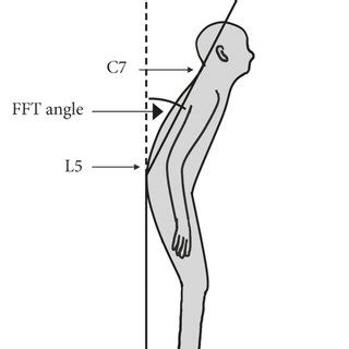 Diagrams Illustrating Measurement Of A Forward Flexion Of The Trunk