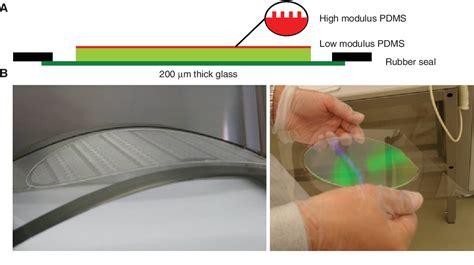 Figure 4 From Large Area Nanoimprint By Substrate Conformal Imprint Lithography Scil