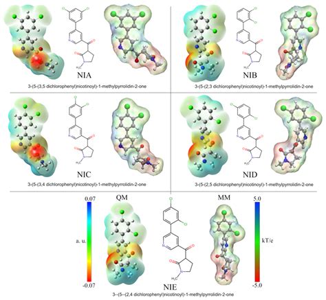 Analysis Of The Rvp Structures In The New Md Simulations A