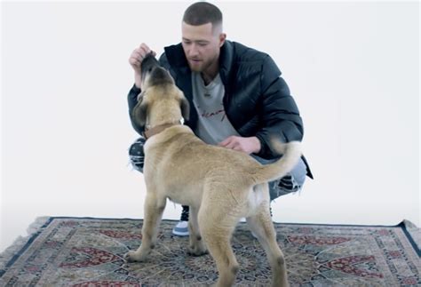 Bibić Kto To Pochodzenie Imię Nazwisko Wzrost Wiek Wikipedia Nafakcie Pl