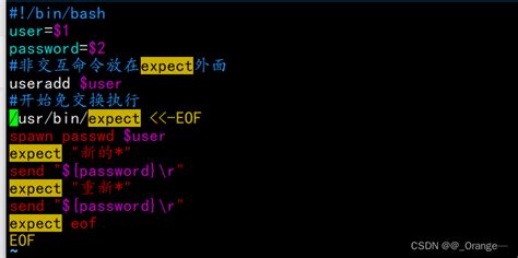 Bash与expect的免交互操作详解 Csdn博客