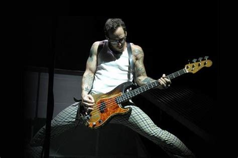 Scott Shriner The Sex God Appreciation Shrine R Weezer