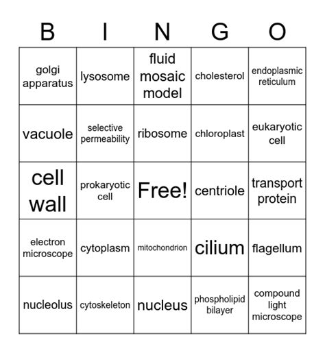 Cell Structures Bingo Card