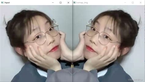 Opencv图像处理学习十九，像素重映射cvremap Csdn博客