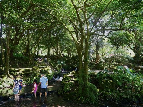 台北／前山公園別具特色四座公園 享「寧靜都市公園」之美就從這裡開始！ 開心papago的吃喝玩樂 Udn部落格