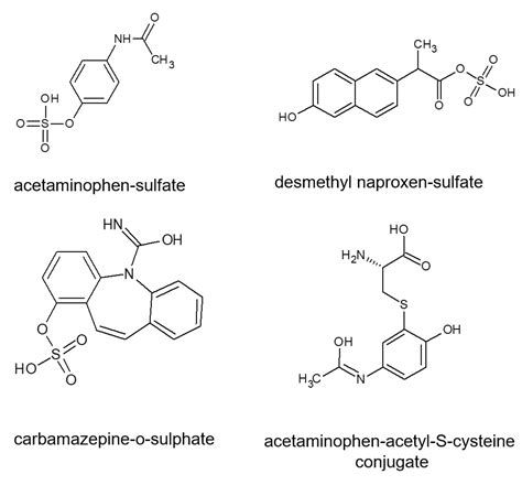 Enhancing Biotransformation Identification Efficiency Using Lc Ms Fine