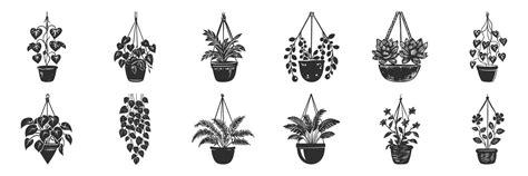 Hanging Houseplants Silhouette Set Indoor Plant Decor And Greenery