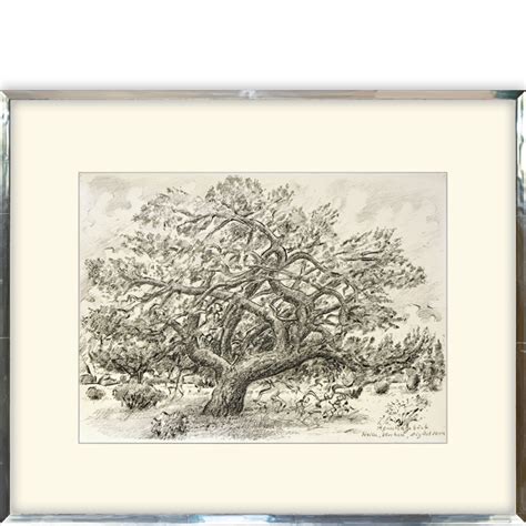 Der Baum Günter Grass Bilder Hier Kaufen