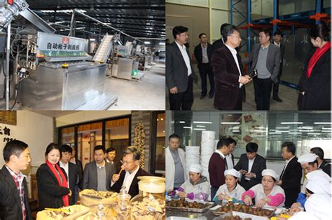 省农厅牛宝俊副厅长考察江门农机化技术推广工作广东老区网