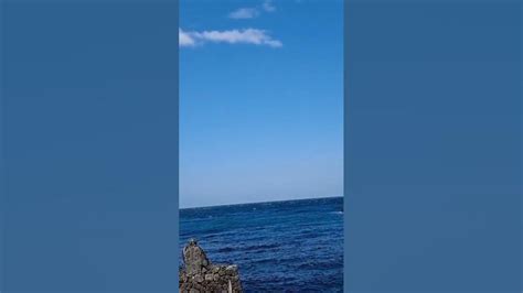 파란 하늘에 떠있는 예쁜 솜사탕ㅋㅋ Youtube