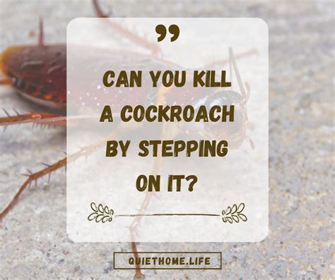 Can You Kill A Cockroach By Stepping On It Putting The Stomp Technique