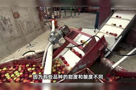 原汁原味的鲜榨苹果汁，经高温灭菌，看起来发黑，不知道味道如何高温味道不知道