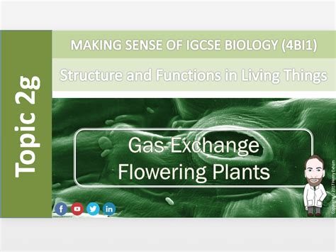 Section 1 And 2 Presentation Bundle Igcse Biology 9 1 Teaching